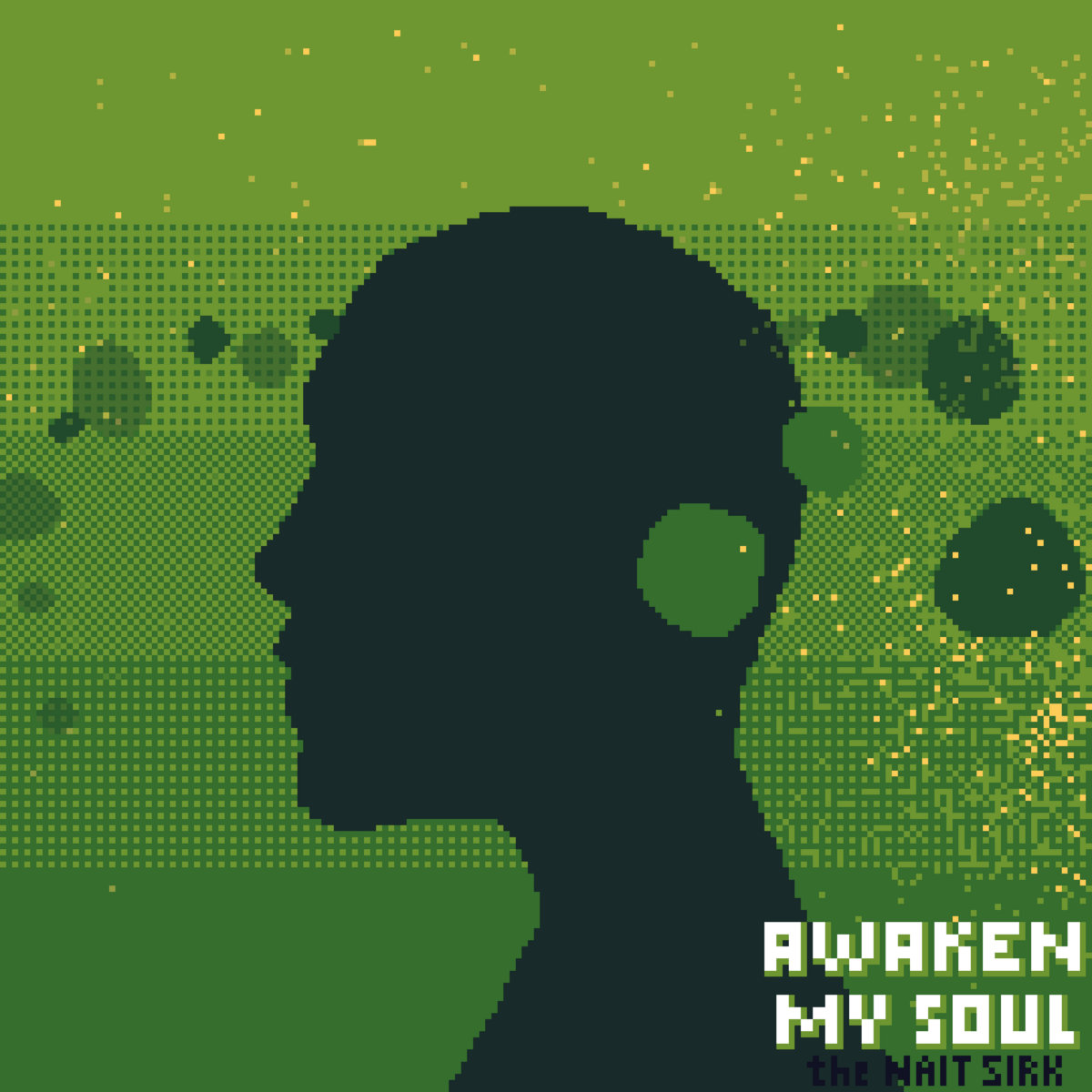 Awaken My Soul by The Nait Sirk (Single): Reviews, Ratings, Credits ...