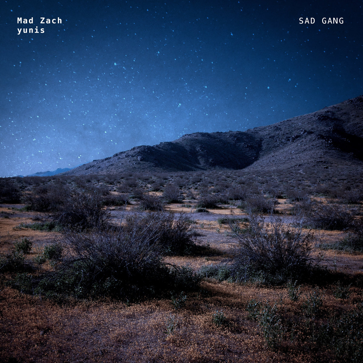 Sad Gang by Mad Zach & Yunis (Single, Downtempo): Reviews, Ratings ...