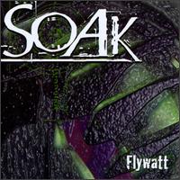 Soak Albums: songs, discography, biography, and listening guide - Rate ...