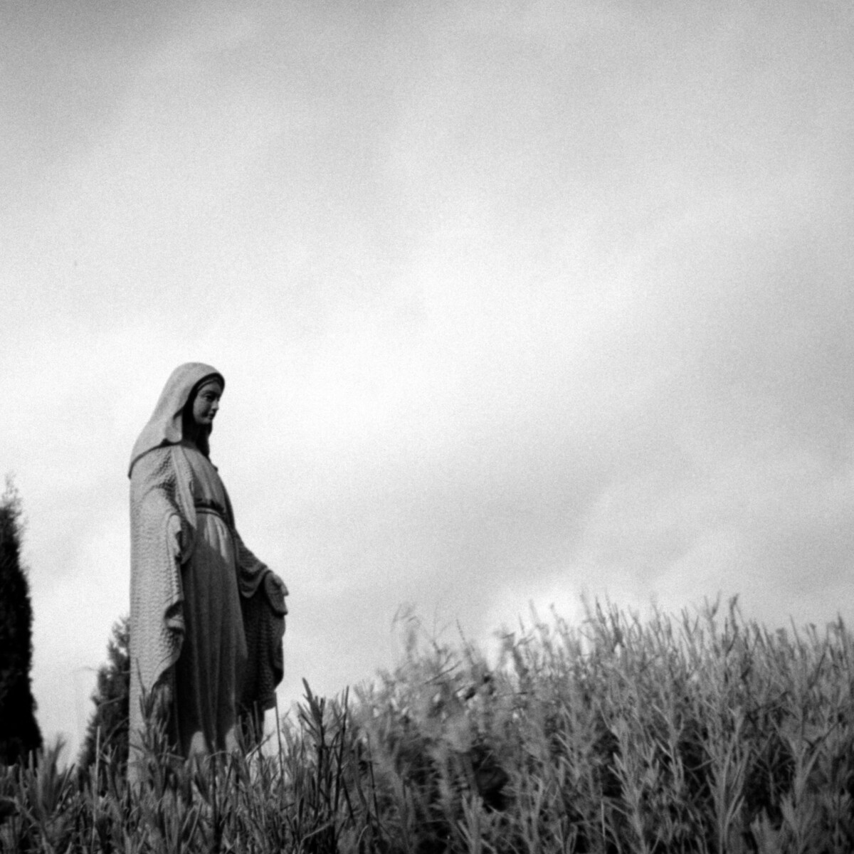 Exploit Albums: songs, discography, biography, and listening guide ...