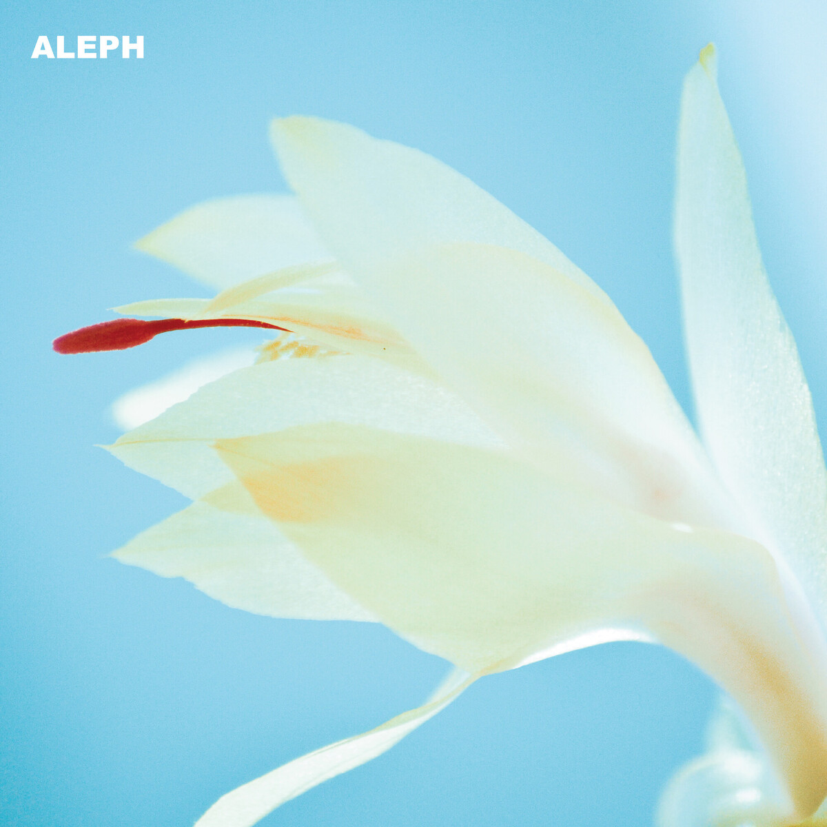 순애보 by 알레프 [ALEPH] (Single): Reviews, Ratings, Credits, Song list ...