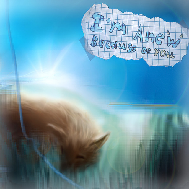 I'm Anew, Because of You by achorda (Album): Reviews, Ratings, Credits ...