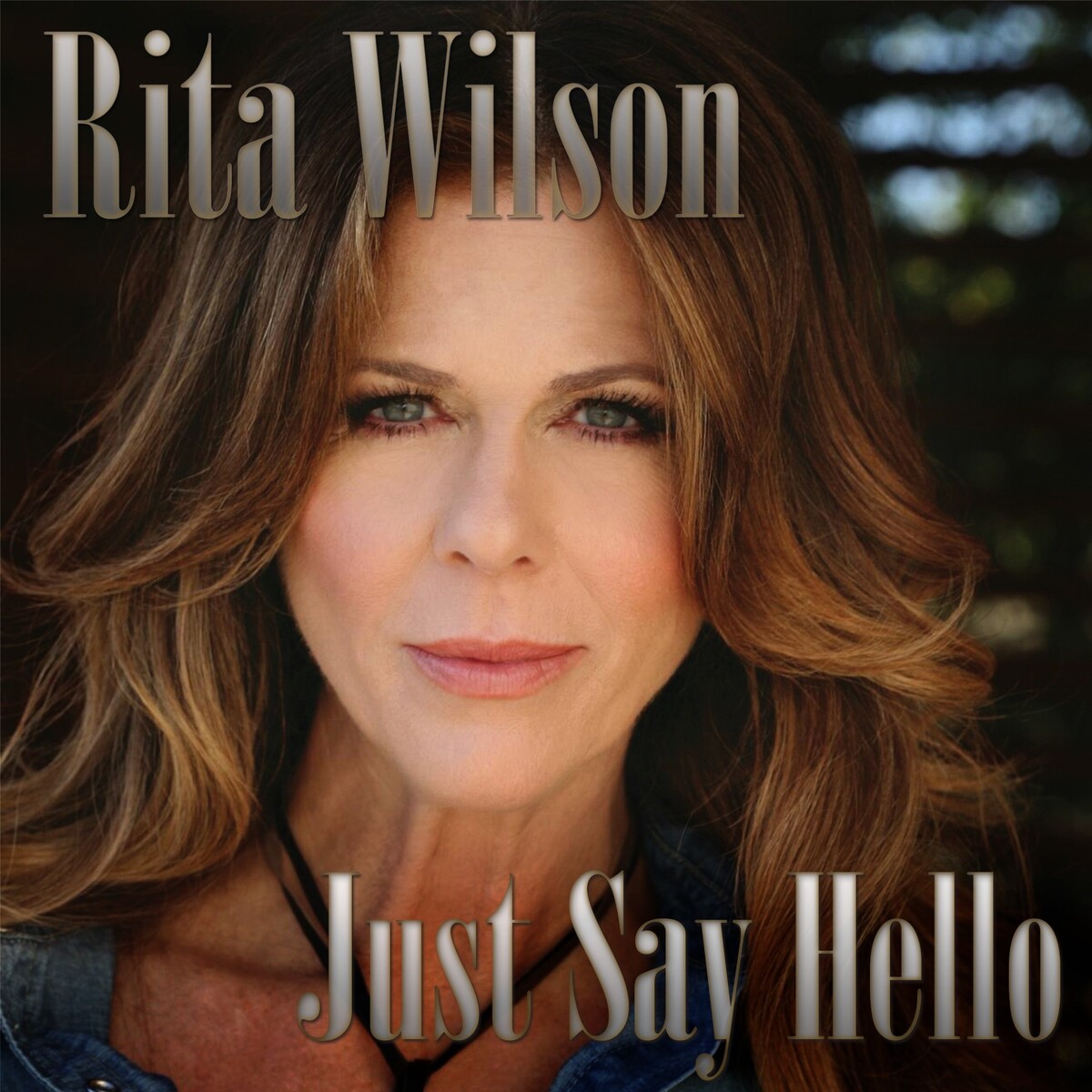 Just Say Hello by Rita Wilson (Single): Reviews, Ratings, Credits, Song ...