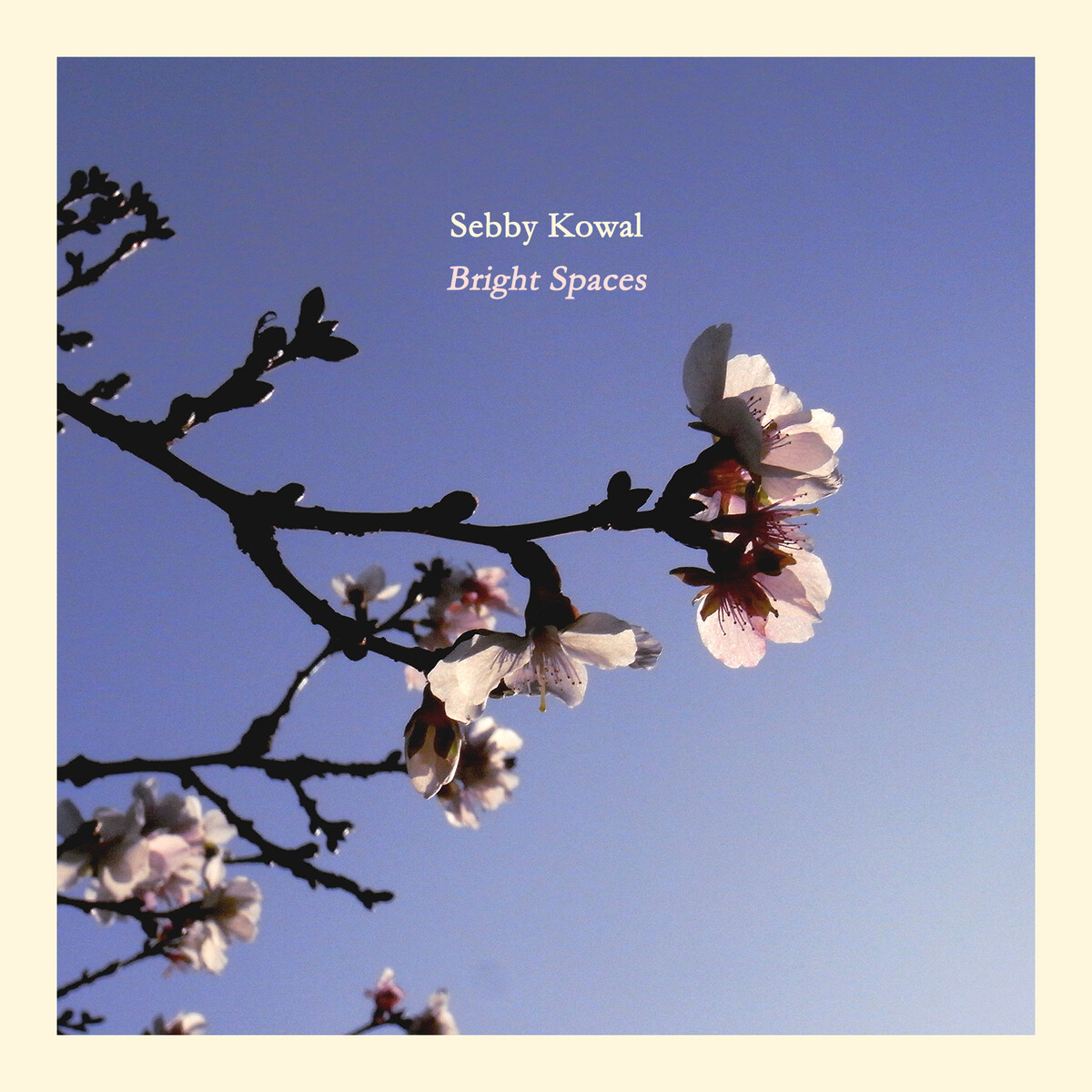 Bright Spaces by Sebby Kowal (Album): Reviews, Ratings, Credits, Song ...