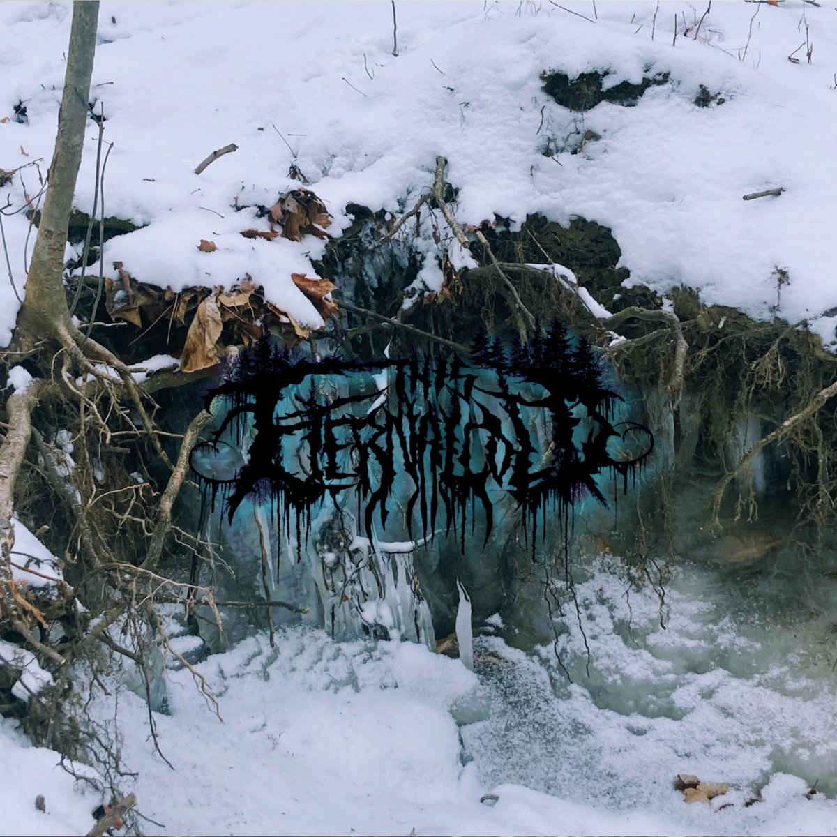 This Eternal Cold by This Eternal Cold (Album, Black Metal): Reviews ...