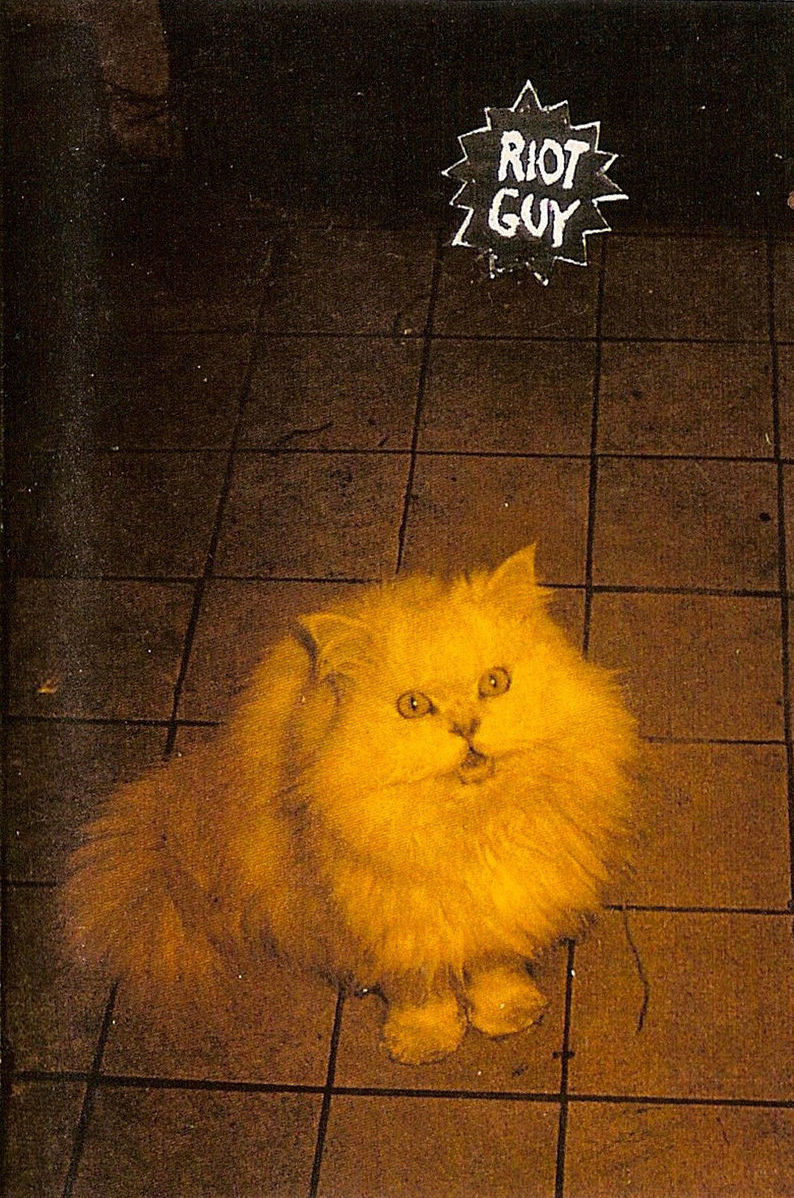 Riot Guy Albums: songs, discography, biography, and listening guide ...