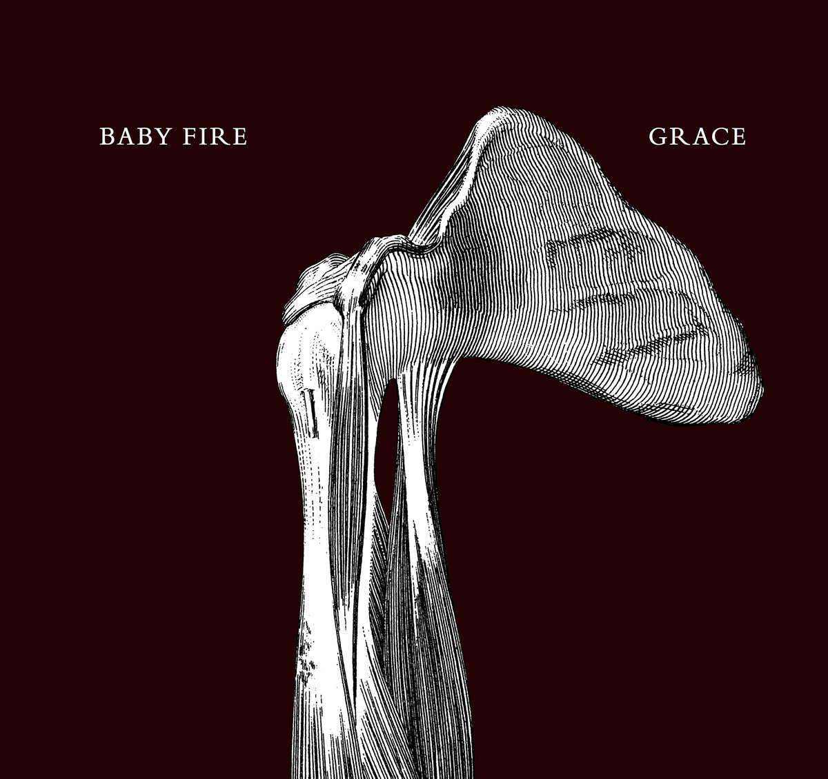 Baby Fire Albums: songs, discography, biography, and listening guide ...