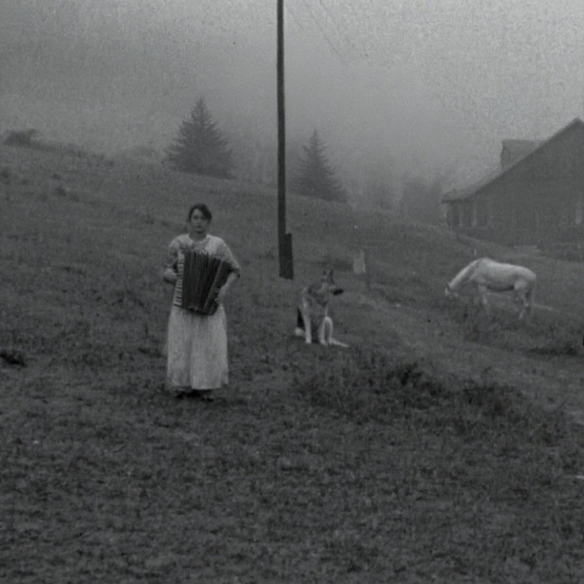 Lungs by ARIGTO (Album): Reviews, Ratings, Credits, Song list - Rate ...