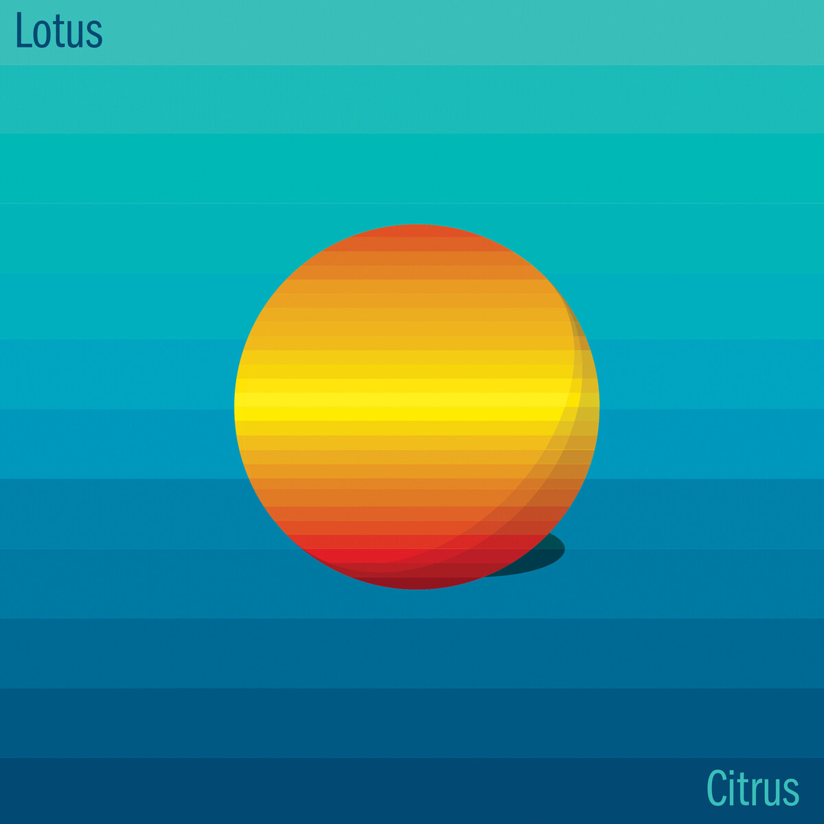 Citrus by Lotus (Album, Jazz-Rock): Reviews, Ratings, Credits, Song ...