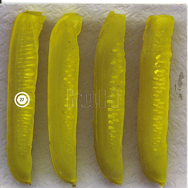 huH CD 27 by Various Artists (Compilation, Indie Rock): Reviews ...