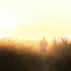 Fatal Albums: songs, discography, biography, and listening guide - Rate ...