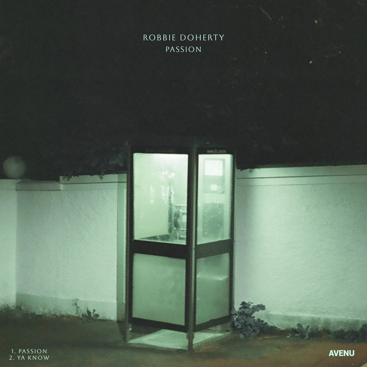 Passion by Robbie Doherty (Single): Reviews, Ratings, Credits, Song ...