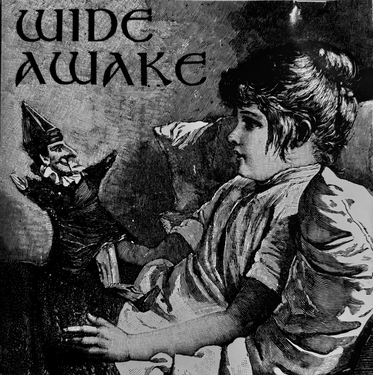 Music credits for Wide Awake : 1 performance listed under producer ...