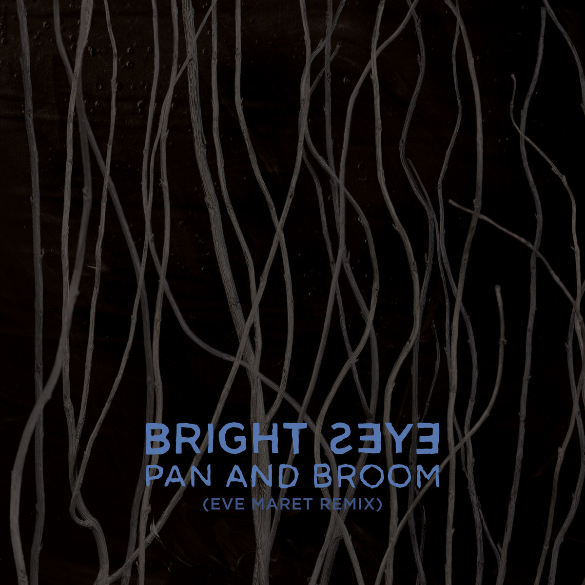 Pan and Broom (Eve Maret Remix) by Bright Eyes (Single): Reviews, Ratings, Credits, Song list ...