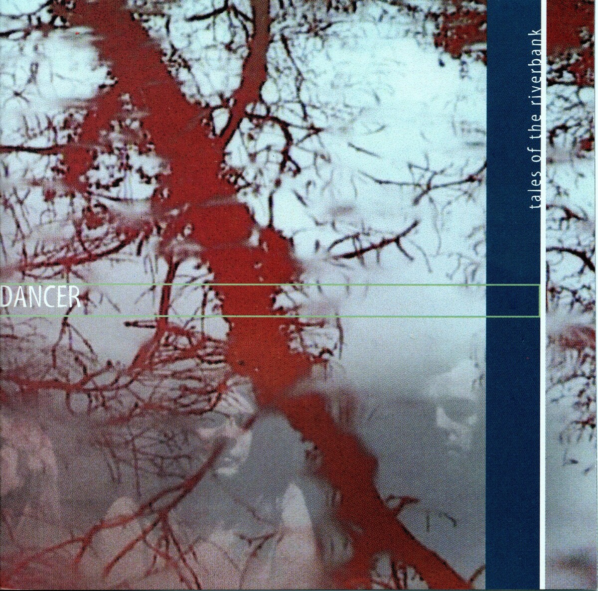 Dancer Albums: songs, discography, biography, and listening guide ...