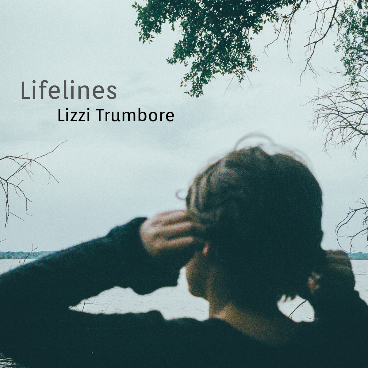 Lifelines by Lizzi Trumbore (Album): Reviews, Ratings, Credits, Song ...