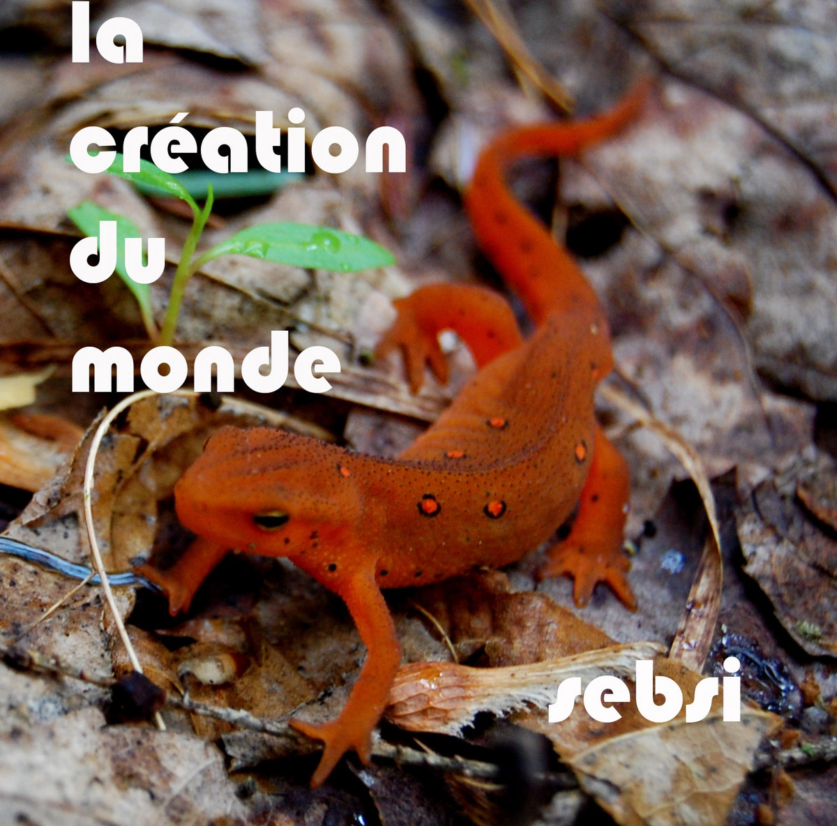 sebsi Albums: songs, discography, biography, and listening guide - Rate ...