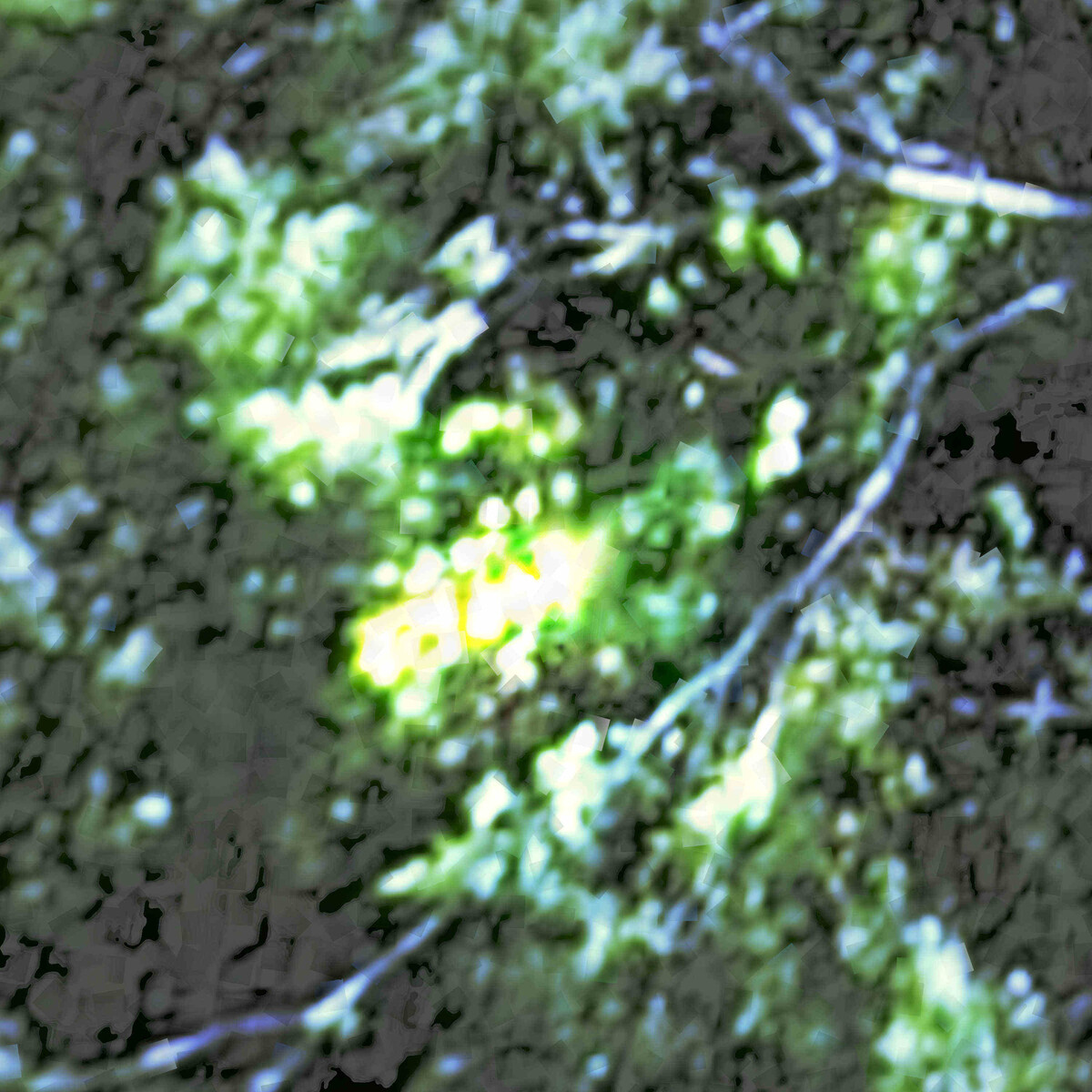 Natural Health/7 Am by Neyraudia (Album): Reviews, Ratings, Credits ...