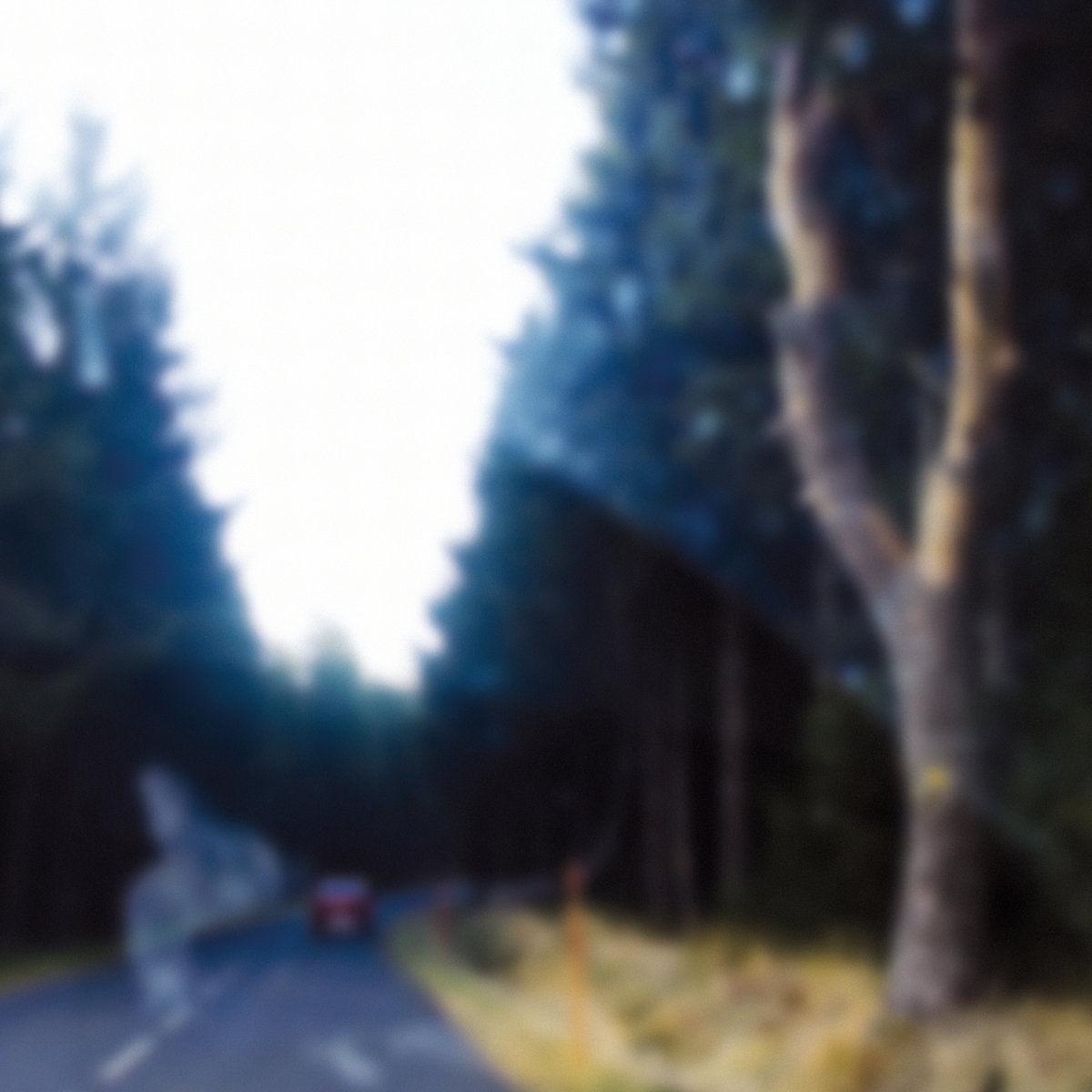 Toad by Toad (Album, Auvergnat Folk Music): Reviews, Ratings, Credits ...