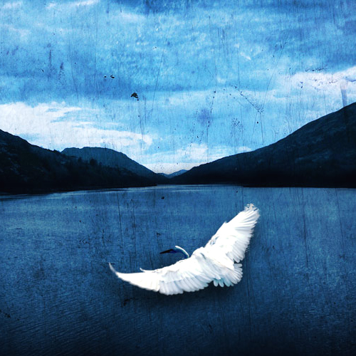 Sara Albums: songs, discography, biography, and listening guide - Rate ...