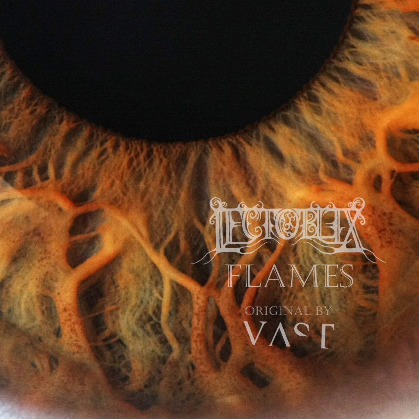 Flames by Lectoblix (Single, Post-Rock): Reviews, Ratings, Credits ...