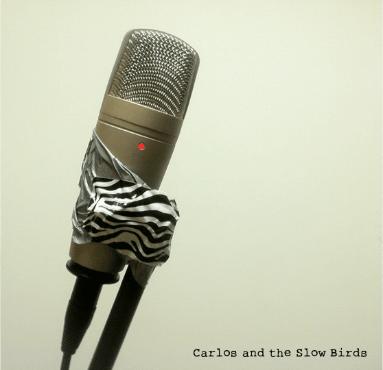 Slow Bird by Carlos and the Slow Birds (Additional release): Reviews ...