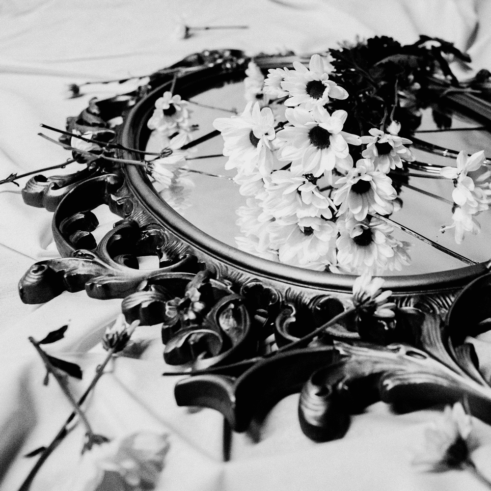 We Will Never Know Why Flowers Grow Through Cracks in the Pavement by Alera (Single): Reviews ...