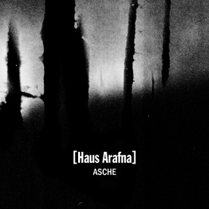 Asche by Haus Arafna (Album, Industrial): Reviews, Ratings, Credits ...