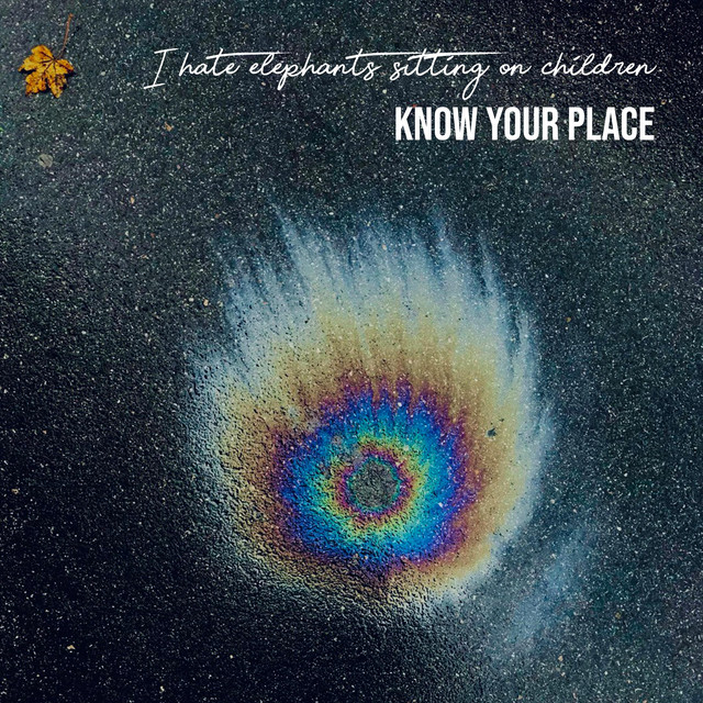 Know Your Place by I Hate Elephants Sitting on Children (Single ...