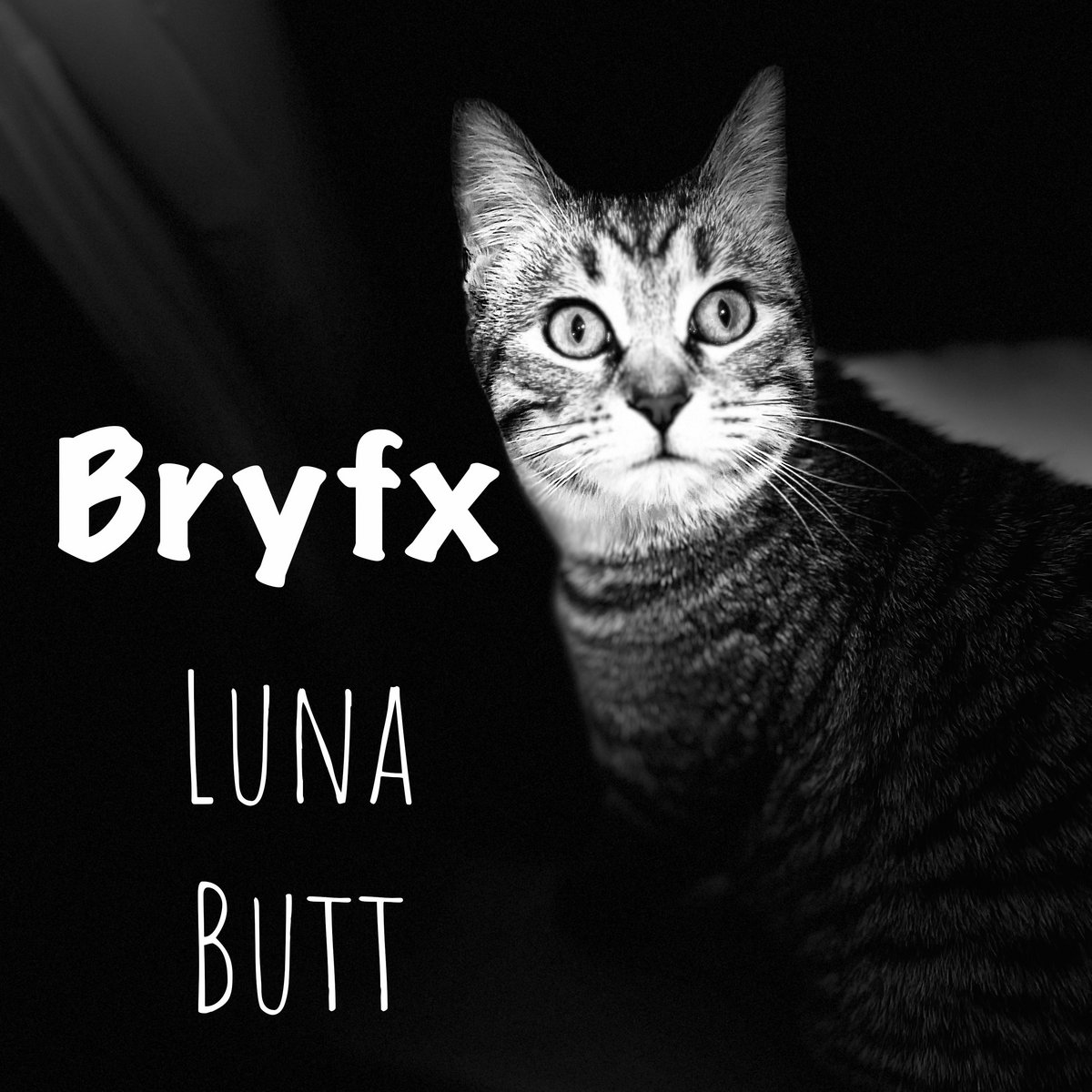 Luna Butt by BryFx (Album, IDM): Reviews, Ratings, Credits, Song list - Rate Your Music