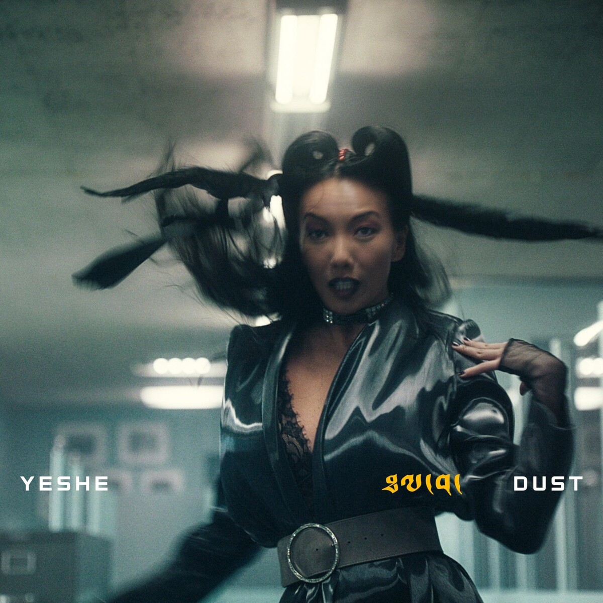 Dust by YESHE (Single): Reviews, Ratings, Credits, Song list - Rate Your Music