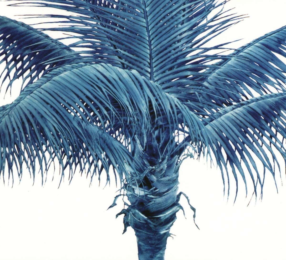 We Fam Econo by FAMY (Album, Indie Rock): Reviews, Ratings, Credits ...