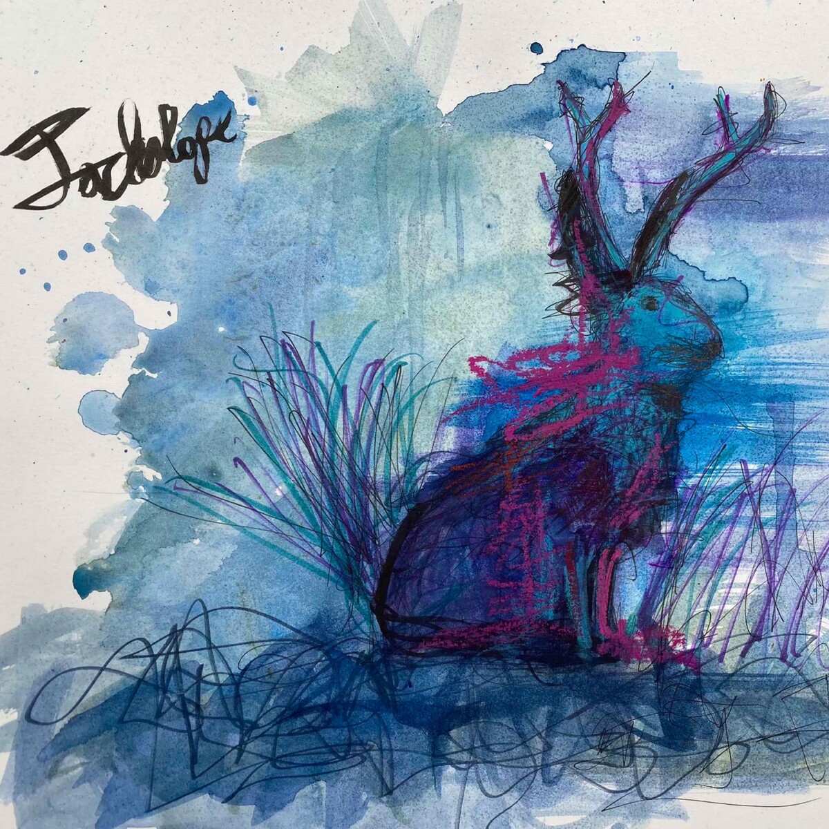 Jackalope by Jimmy Split & Jackie Scan (Album): Reviews, Ratings ...