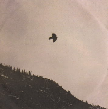 Carrion Albums: songs, discography, biography, and listening guide ...