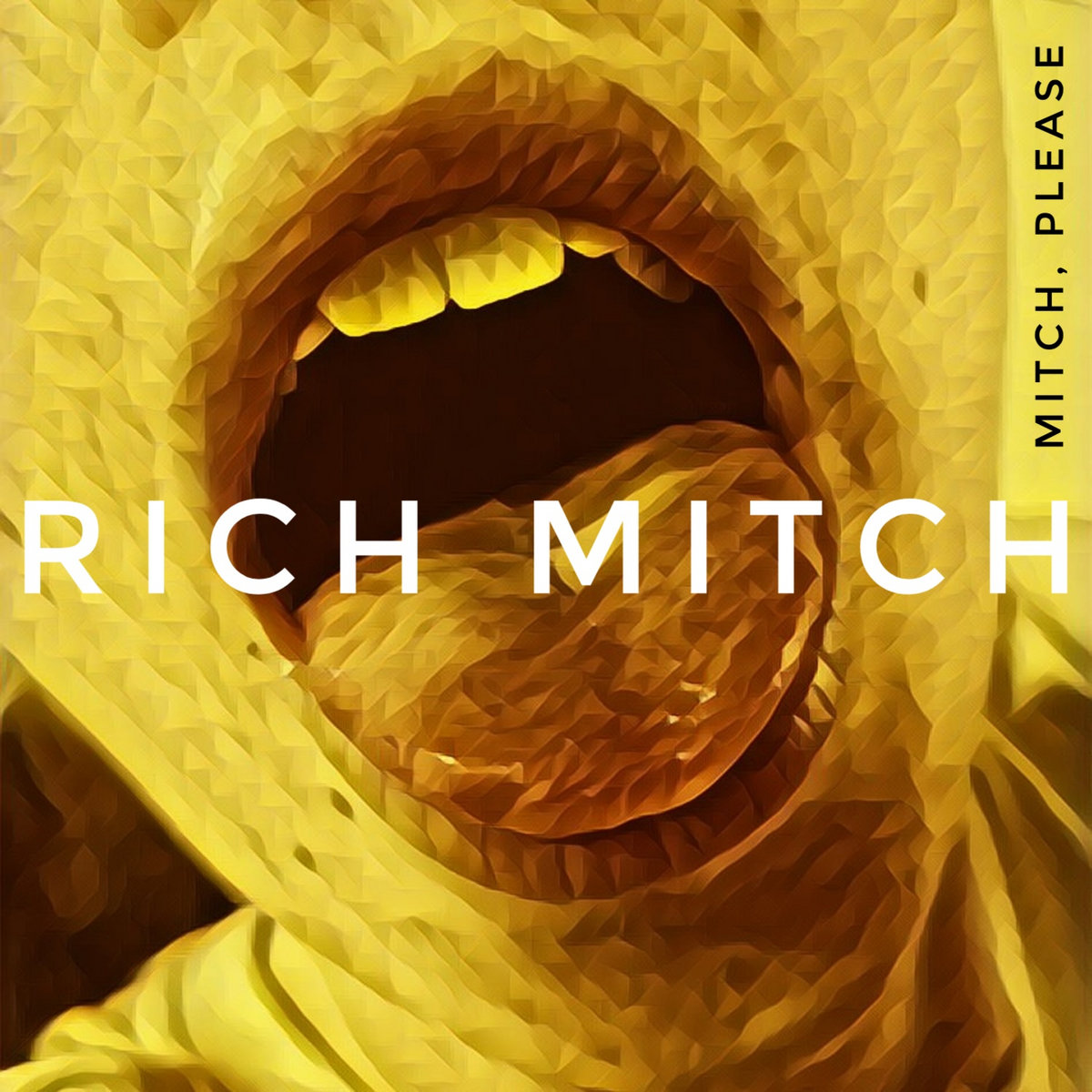 Rich Mitch by Mitch, Please (Single): Reviews, Ratings, Credits, Song ...