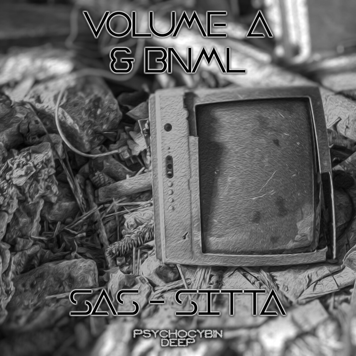 Sas - Sitta by Volume A & Bnml (Single): Reviews, Ratings, Credits ...