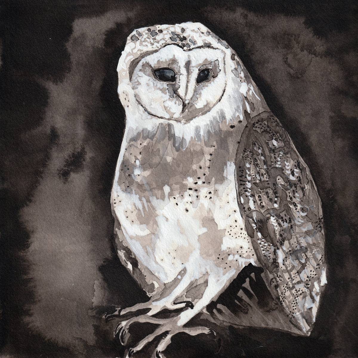 Owl Song by Cosmo Sheldrake (Single, Bird Sounds): Reviews, Ratings ...
