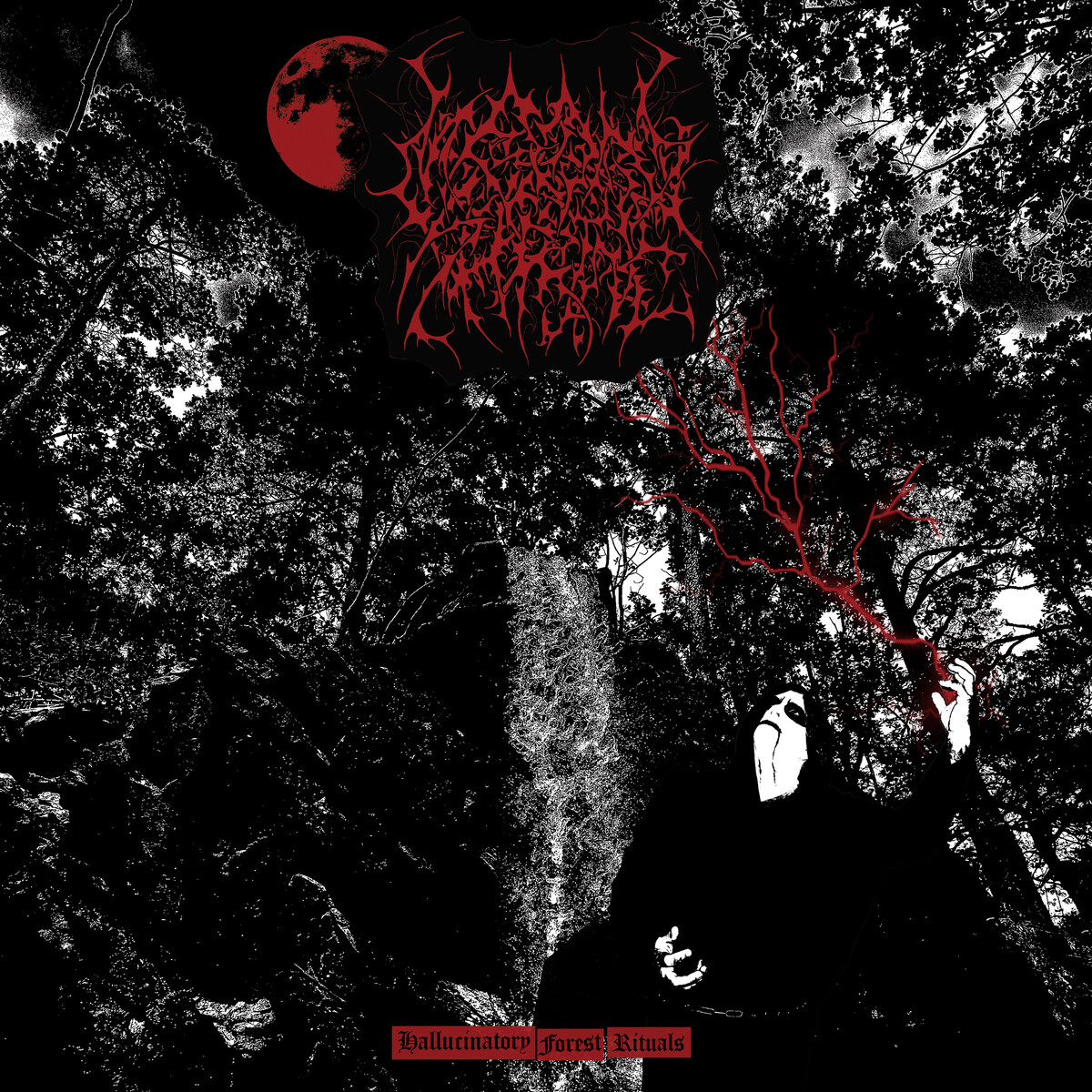 Moonshrine Albums: songs, discography, biography, and listening guide ...