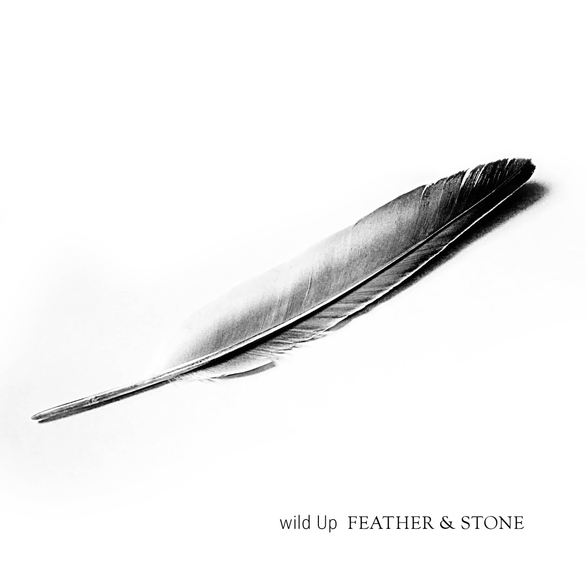 FEATHER & STONE by Wild Up / Christopher Rountree (Album, Modern ...