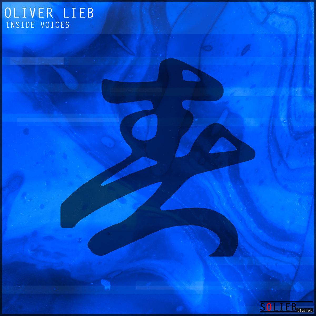 Inside Voices by Oliver Lieb (Album; Solieb Digital): Reviews, Ratings ...