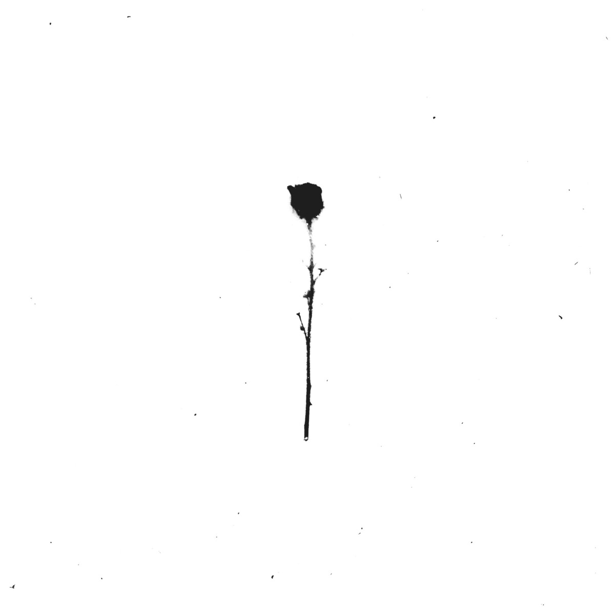 One by Omiah (Album): Reviews, Ratings, Credits, Song list - Rate Your ...