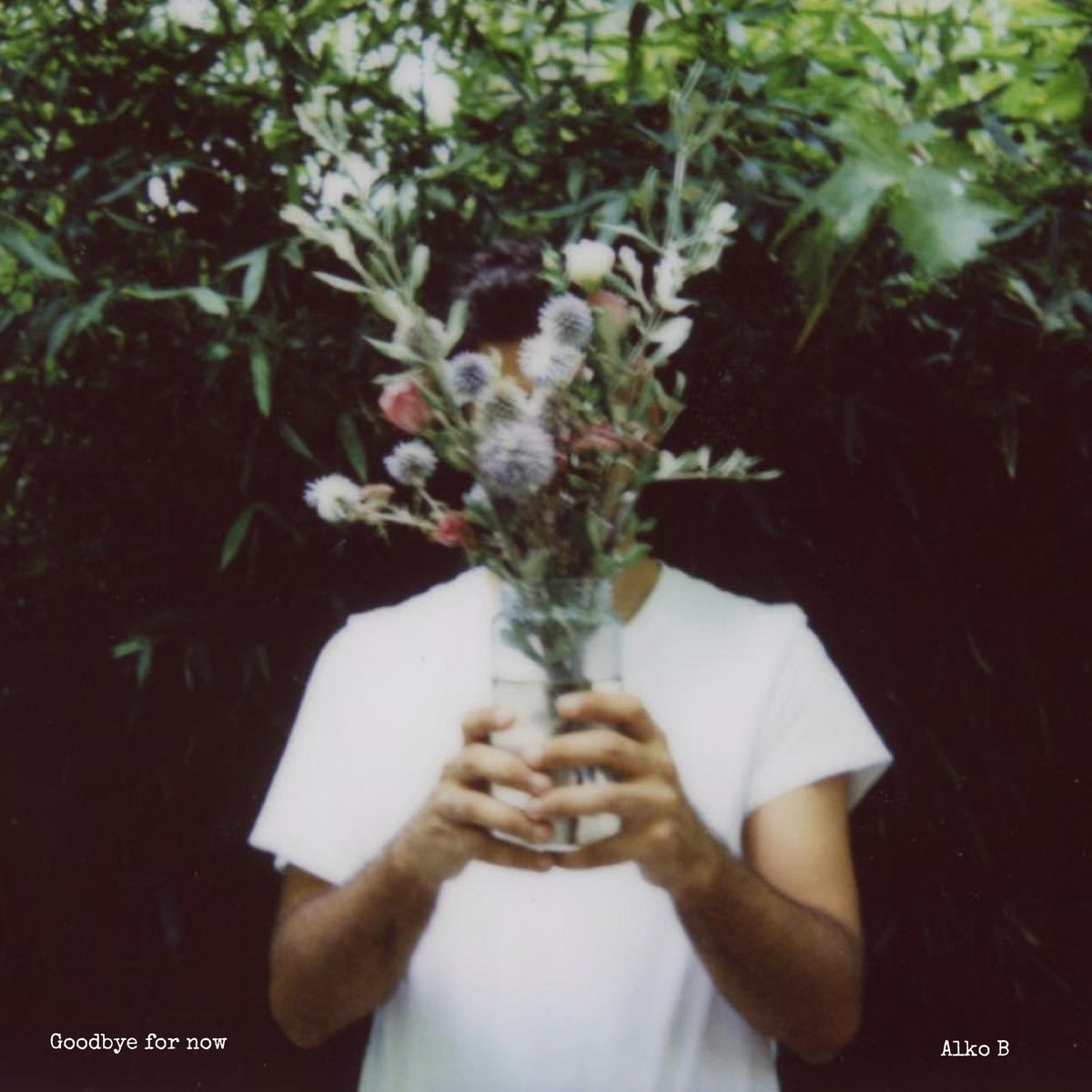 Goodbye for Now by Alko B (Album, Psychedelic Pop): Reviews, Ratings ...