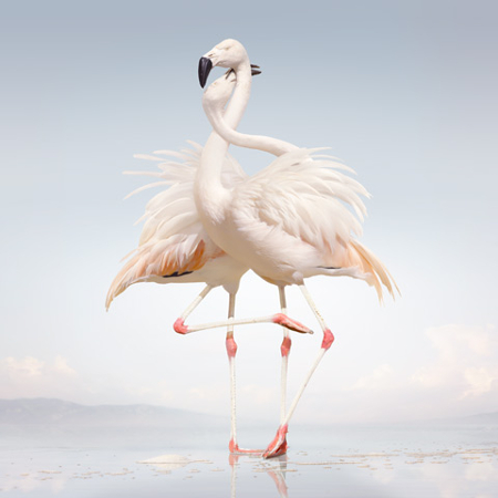 Green Language by Rustie (Album, Purple Sound): Reviews, Ratings ...