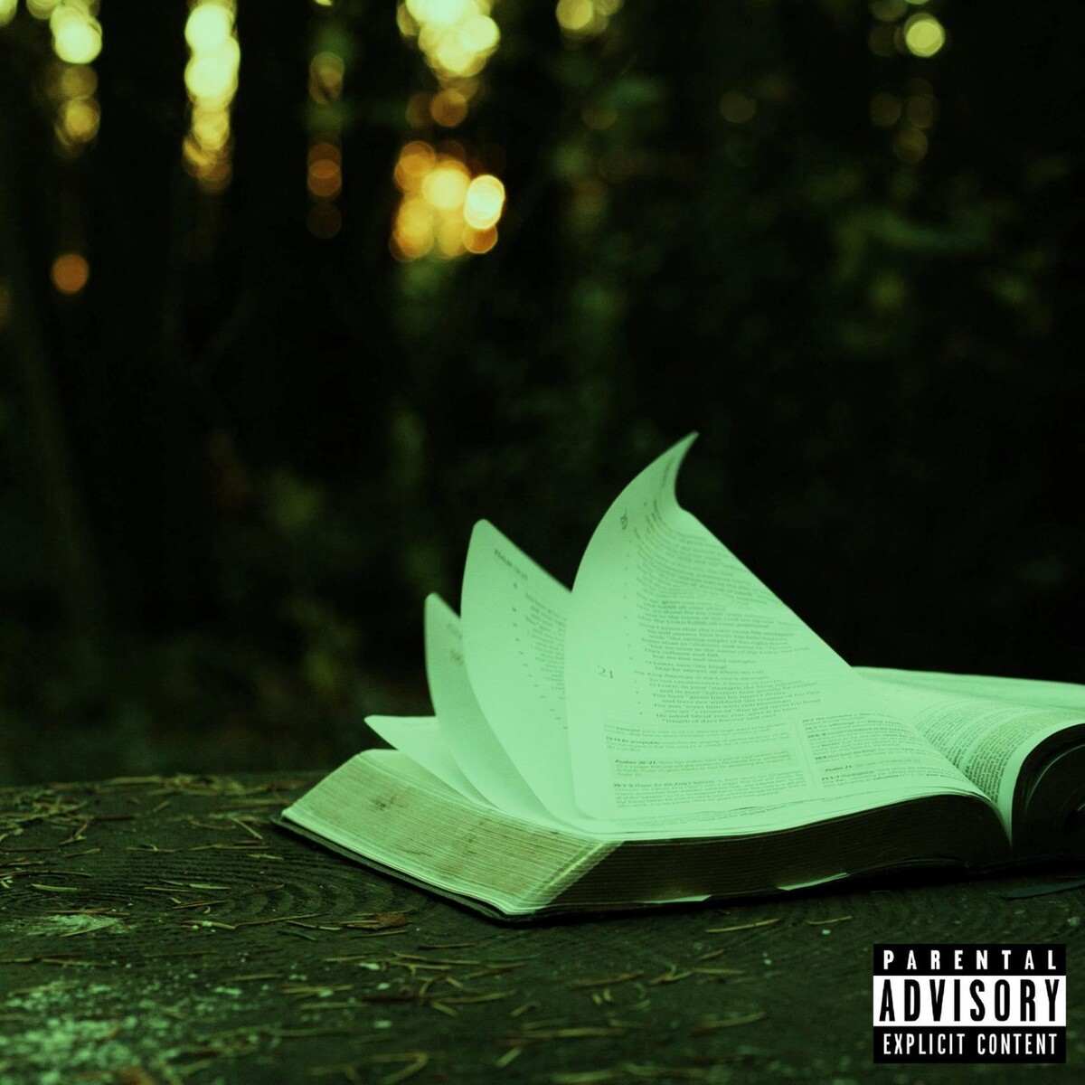 A Poem by Lil Guy by Lil Guy (Single): Reviews, Ratings, Credits, Song ...