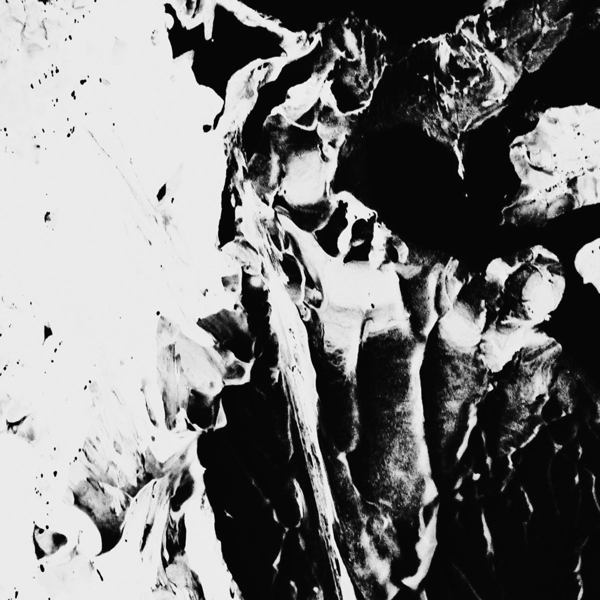 Cadu Tenório Albums: songs, discography, biography, and listening guide ...