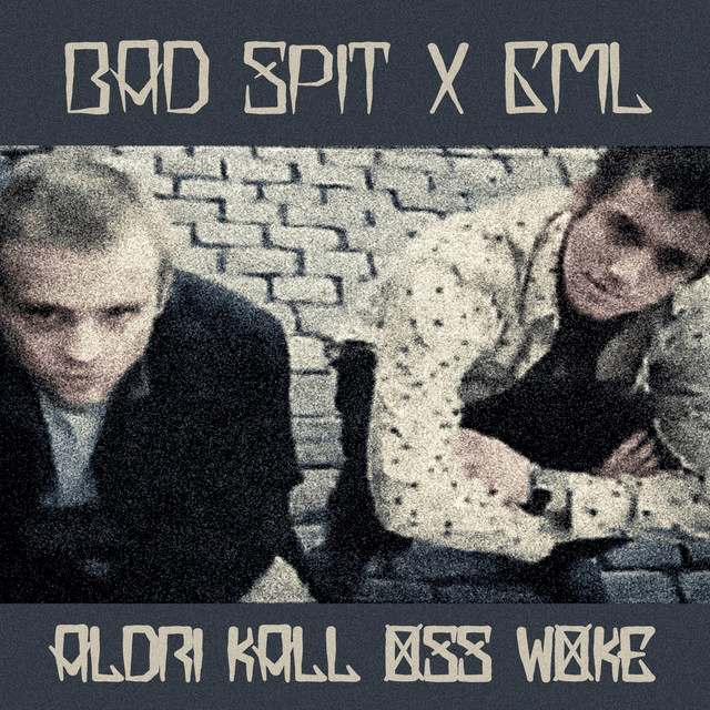 Aldri kall oss woke by Bad Spit x GML (Single): Reviews, Ratings ...