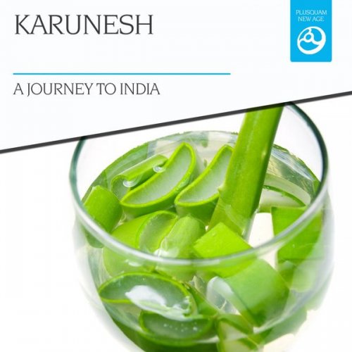 A Journey To India by Karunesh (Album, New Age): Reviews, Ratings ...