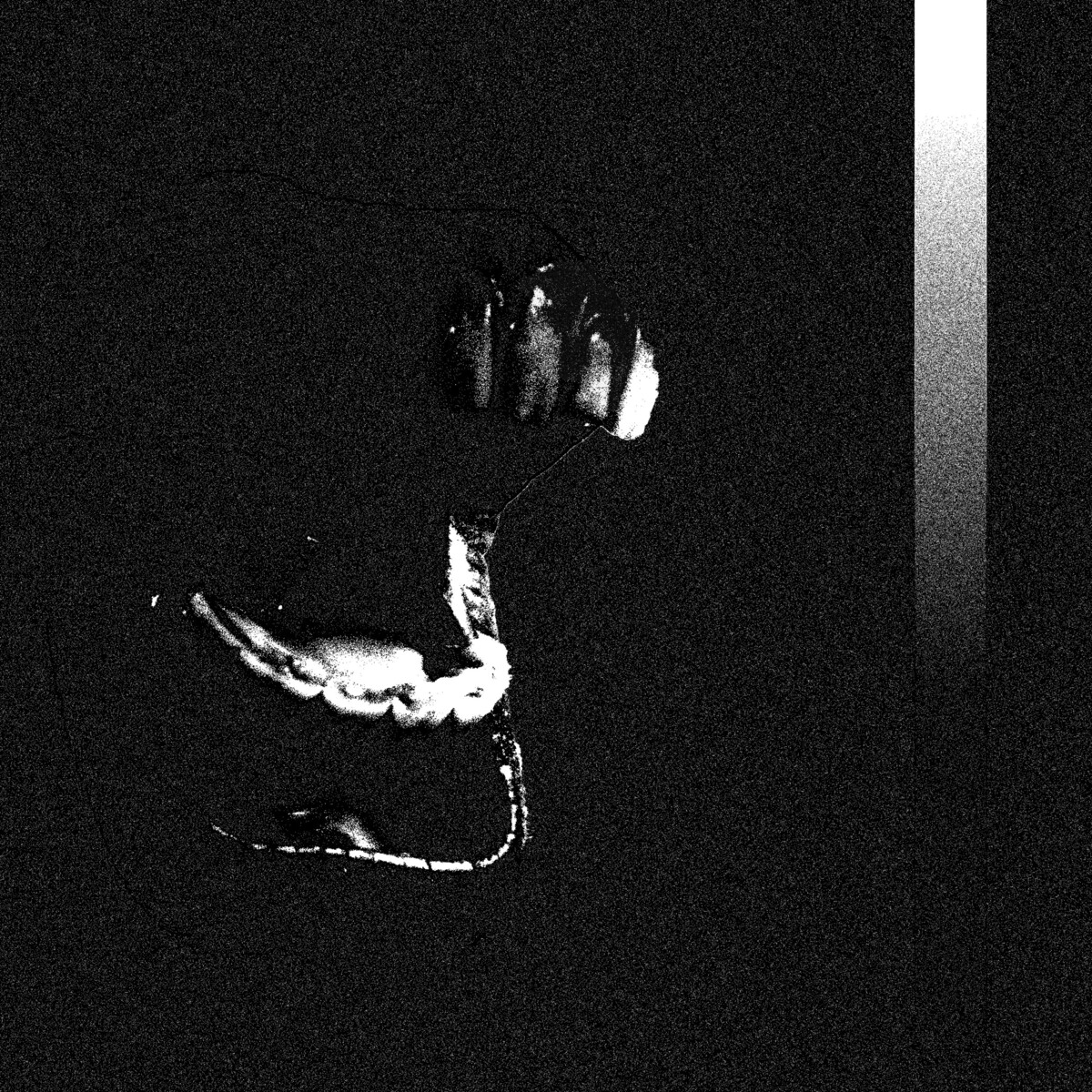 Downward Trajectory by Festering Wounds (EP, Darkwave): Reviews ...