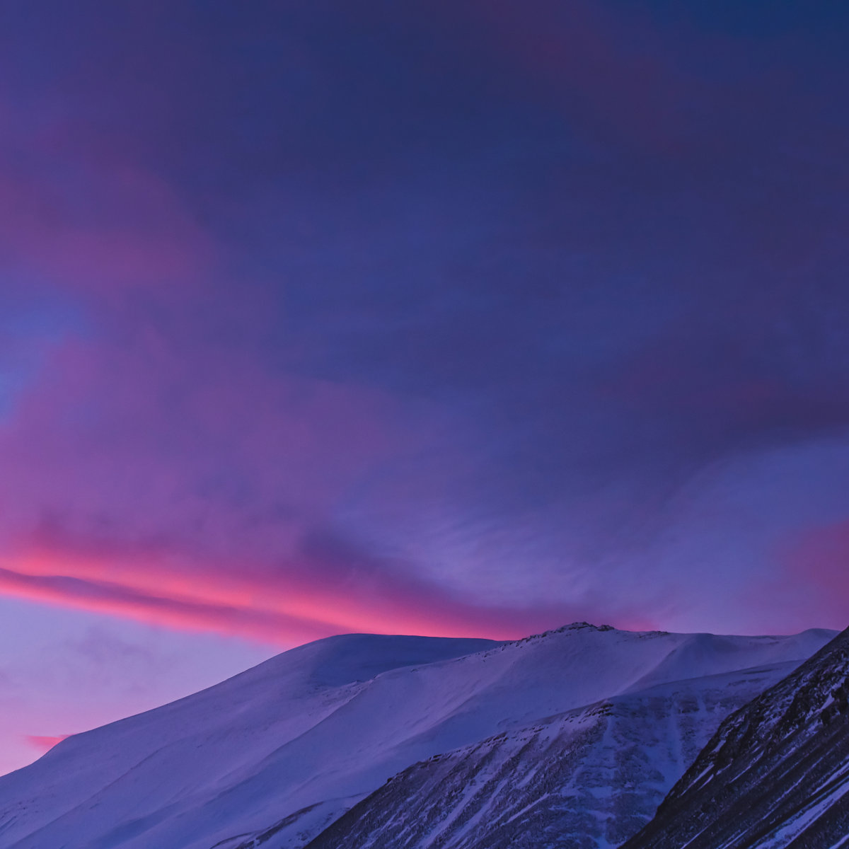 Parallel (Reflection) by Warmth (Album): Reviews, Ratings, Credits ...