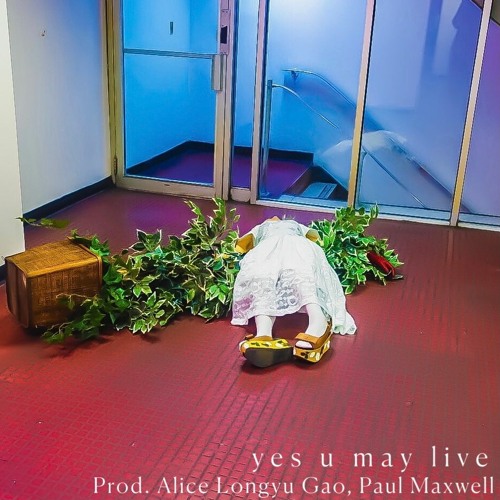 Yes U May Live by Alice Longyu Gao (Single, Hyperpop): Reviews, Ratings ...
